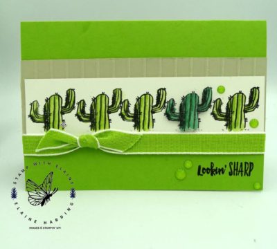 Witty-cisms - Looking Sharp - Stamp with Elaine