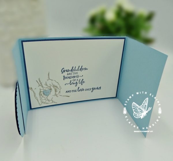 Gatefold card with off centre opening and bonus card - Stamp with Elaine