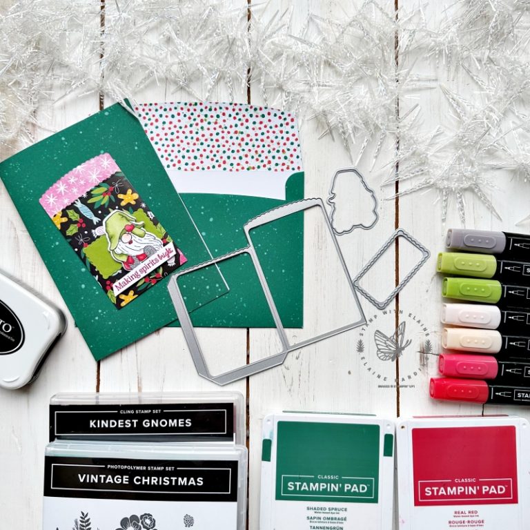 Mini gift card with Mini Pocket Envelop Dies - Stamp with Elaine