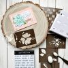 Another sneak peek - Loveliest layers Decorative Masks - Stamp with Elaine