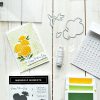 Mother's Day Card - Marigold Moments - Stamp with Elaine