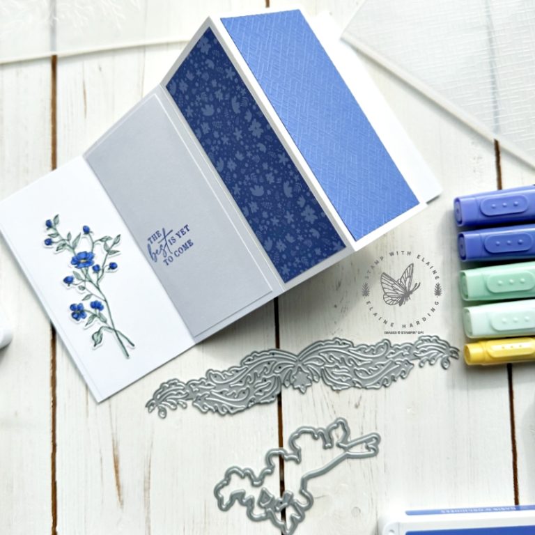 Fancy fold card with hidden message - Stamp with Elaine