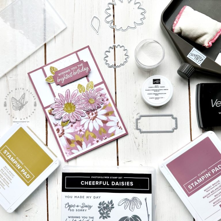Sneak Peek - Fresh as a Daisy collection - Stamp with Elaine