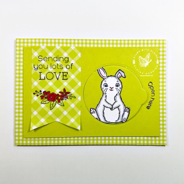 Fun Easter card - Hooray for Surprises - Stamp with Elaine