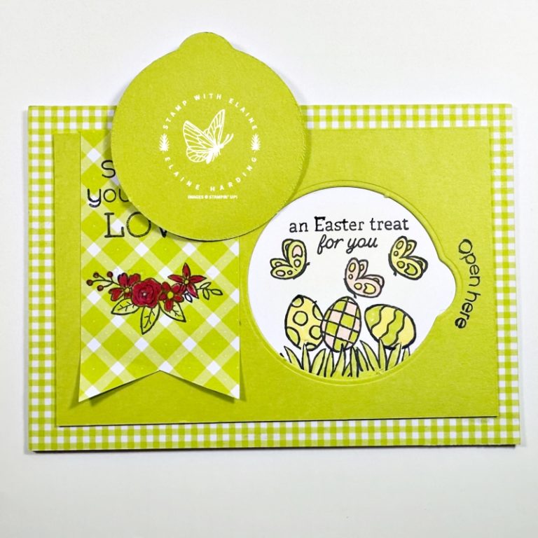 Fun Easter card - Hooray for Surprises - Stamp with Elaine