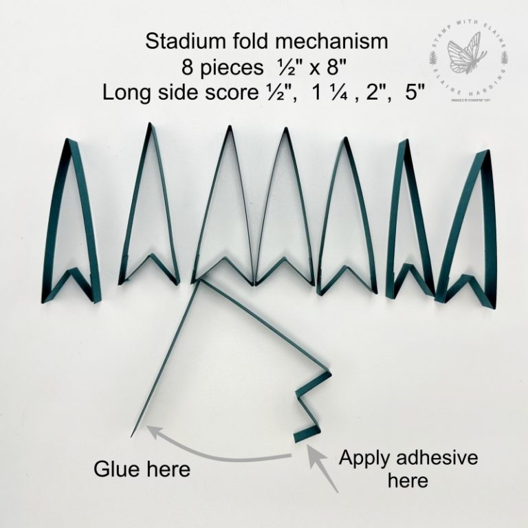 Fancy Stadium Wave fold - Stamp with Elaine