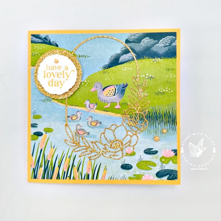 How to create a Rotating Pop-up card - Stamp with Elaine