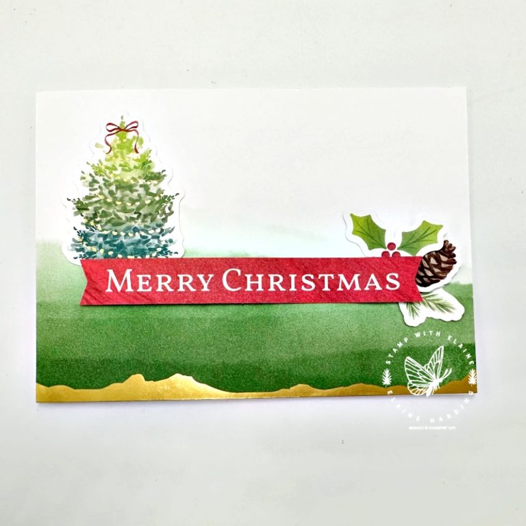 Alter Mix & Match cards - Stamp with Elaine