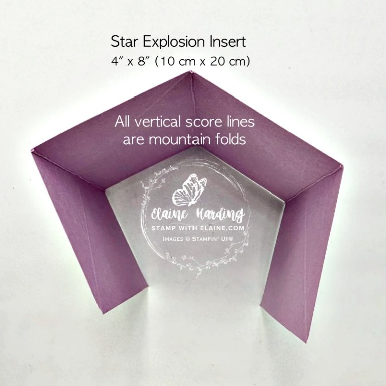 Explosion star card with Beautiful Butterflies - Stamp with Elaine