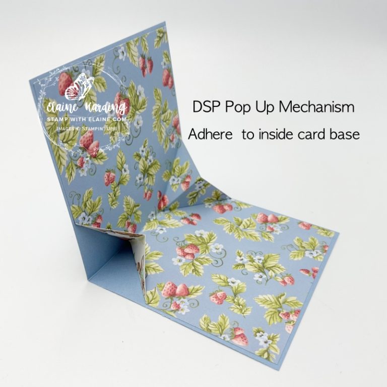 Fun pop-up Card - Springtime - Stamp with Elaine