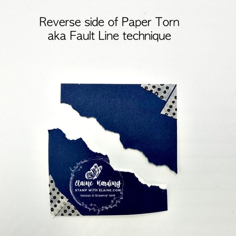 Blue and White Colour Combo - Stamp with Elaine