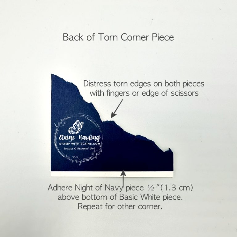 Blue and White Colour Combo - Stamp with Elaine