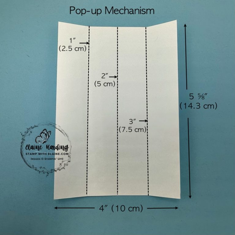 Fun pop-up - Textured Notes - Stamp with Elaine