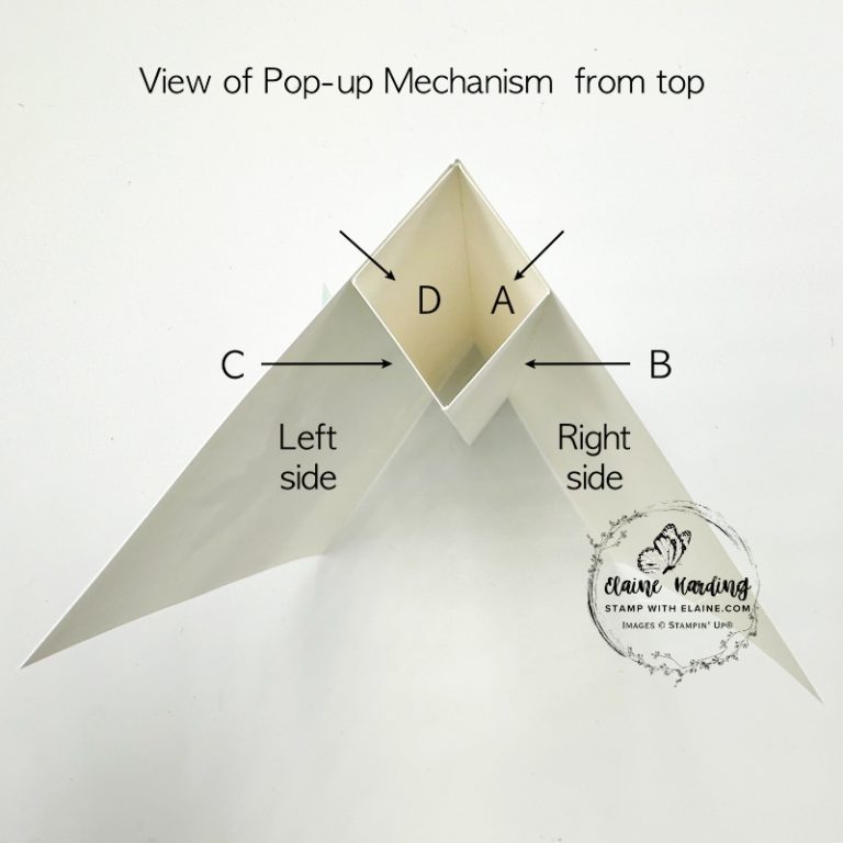 Fun pop-up - Textured Notes - Stamp with Elaine