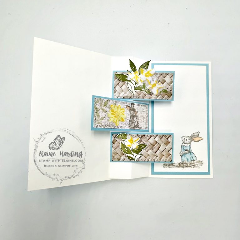 Fun pop-up - Textured Notes - Stamp with Elaine