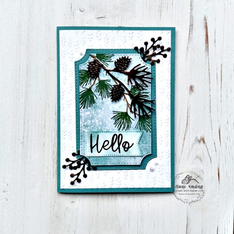 Any occasion card - Branching Out - Stamp with Elaine