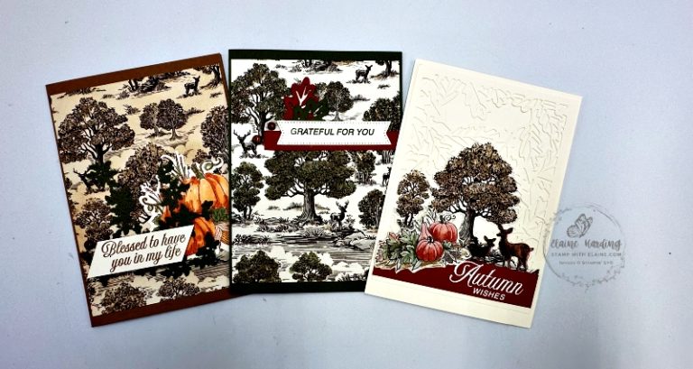 One Sheet Wonder Part 1- Autumn Toile - Stamp with Elaine