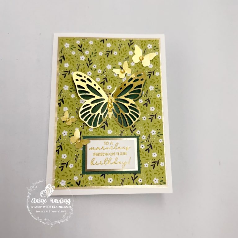 July on-line exclusives goes live today - Stamp with Elaine